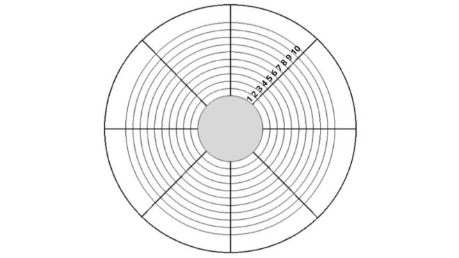 How to prepare yourself as a person, an athlete and a performer